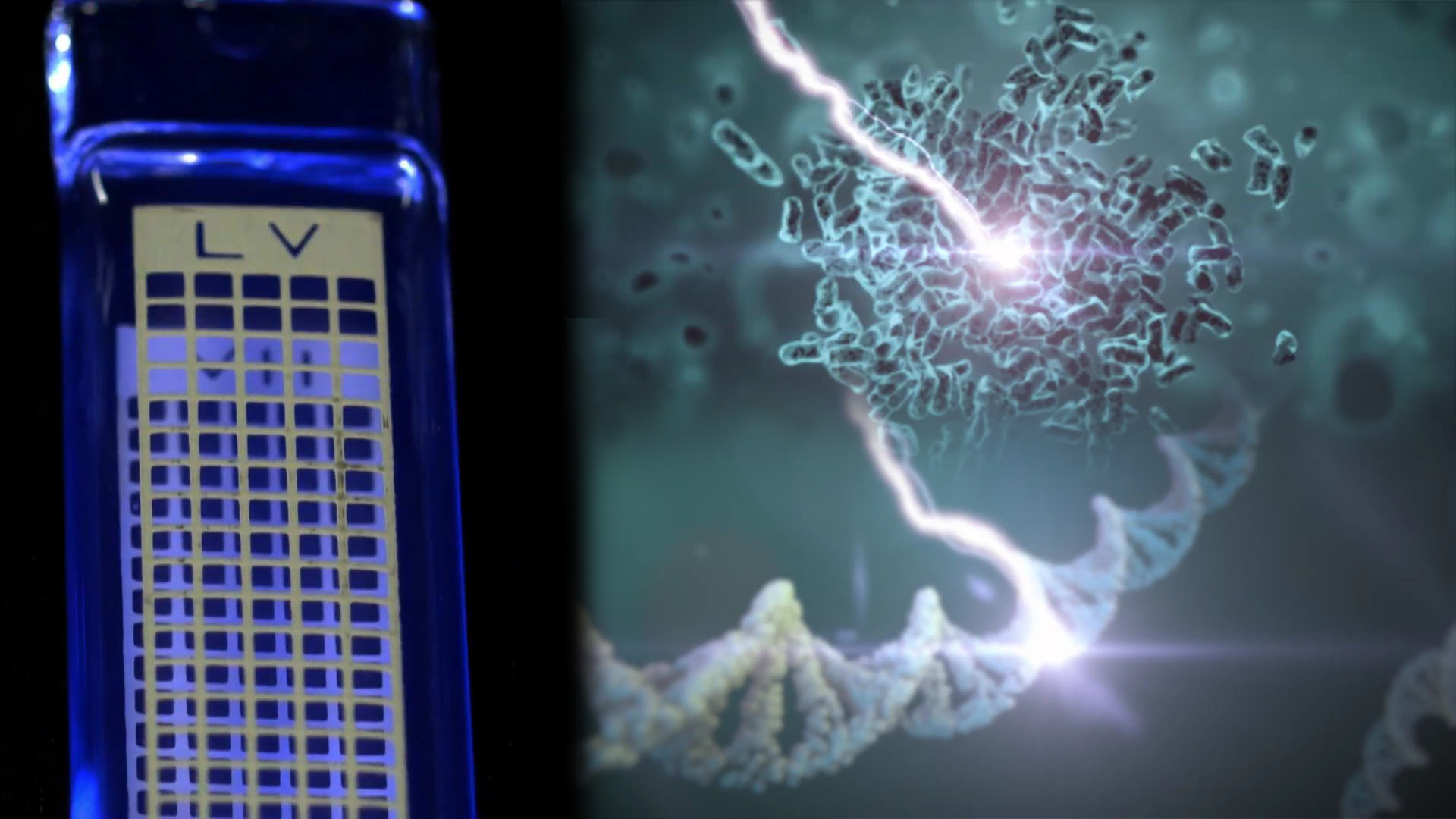 MY LUMENS 人々の生活健康光学に注力した中日合併の間接照明器具会社です。